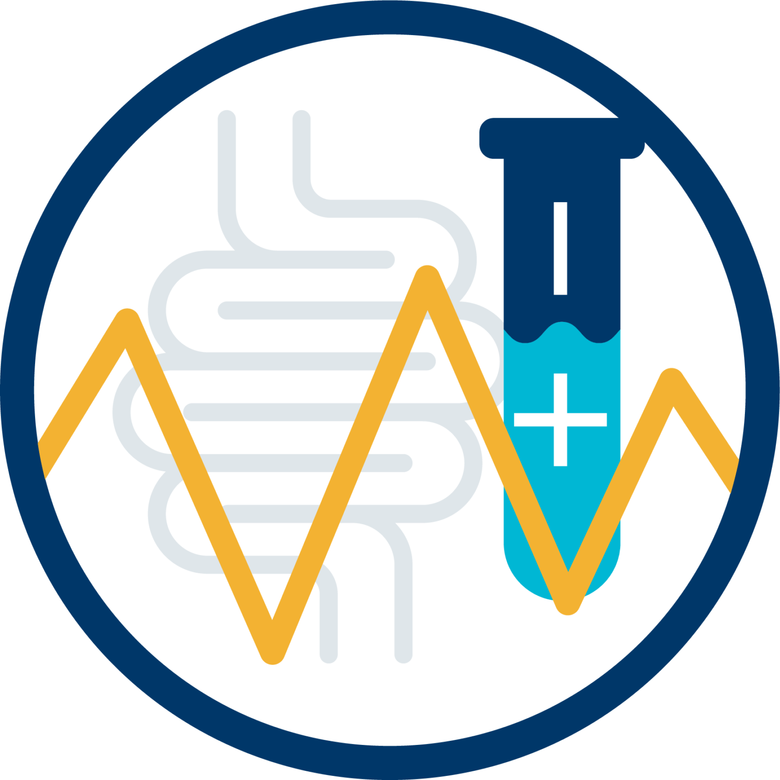 Funding Themes - Carb-X